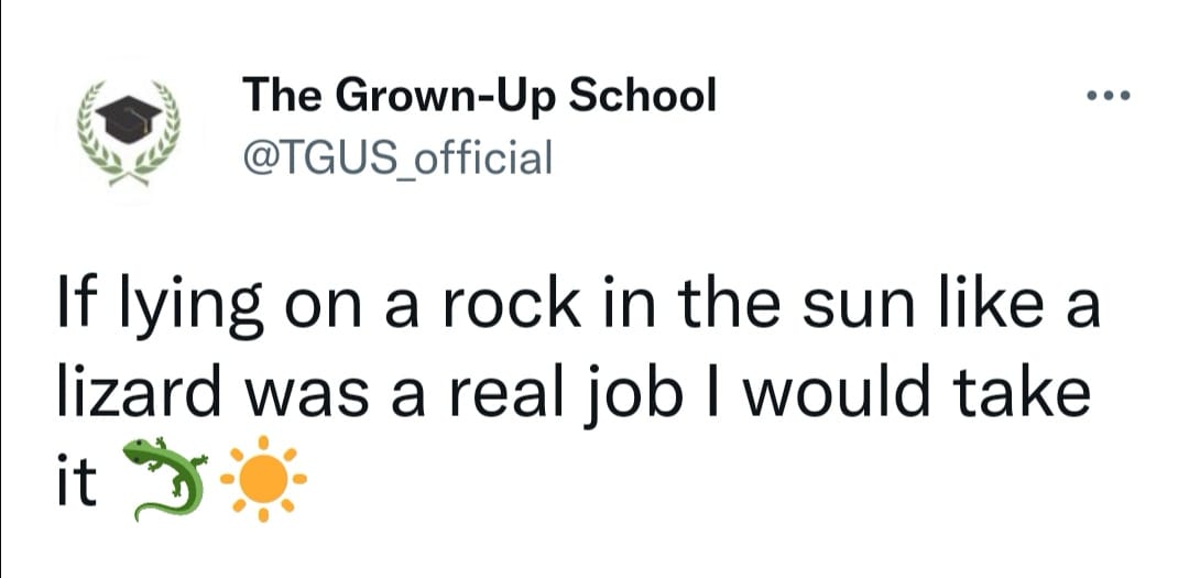 30 adulting memes to make you feel better about growing up 🎓 - The ...