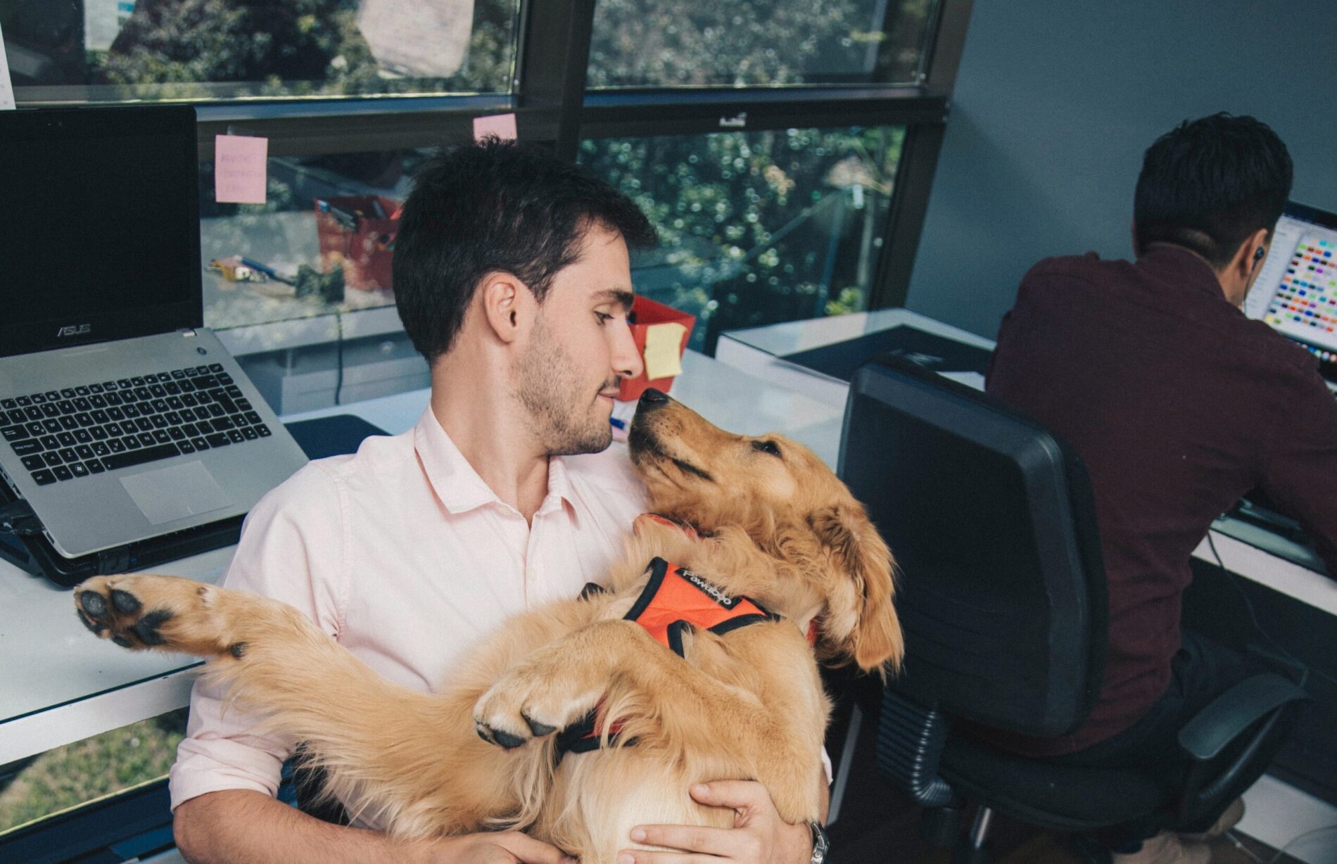 21 perks at work you can get on top of your pay🎉 - The Grown-Up School